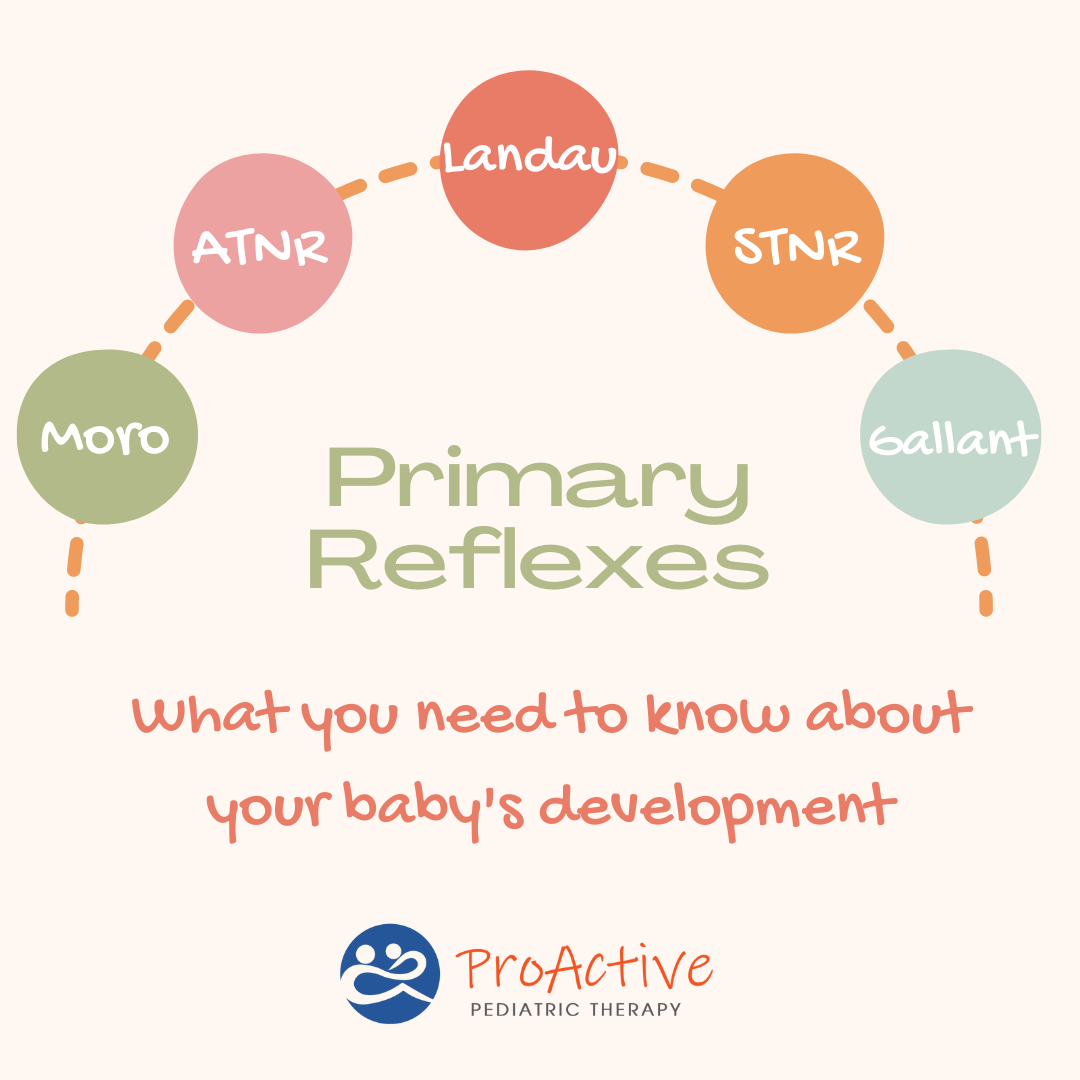 Primary Reflex Integration | proactivepediatrictherapy.com